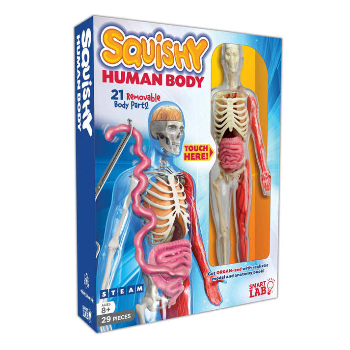 Squishy Human Body – The Amazing Body Store